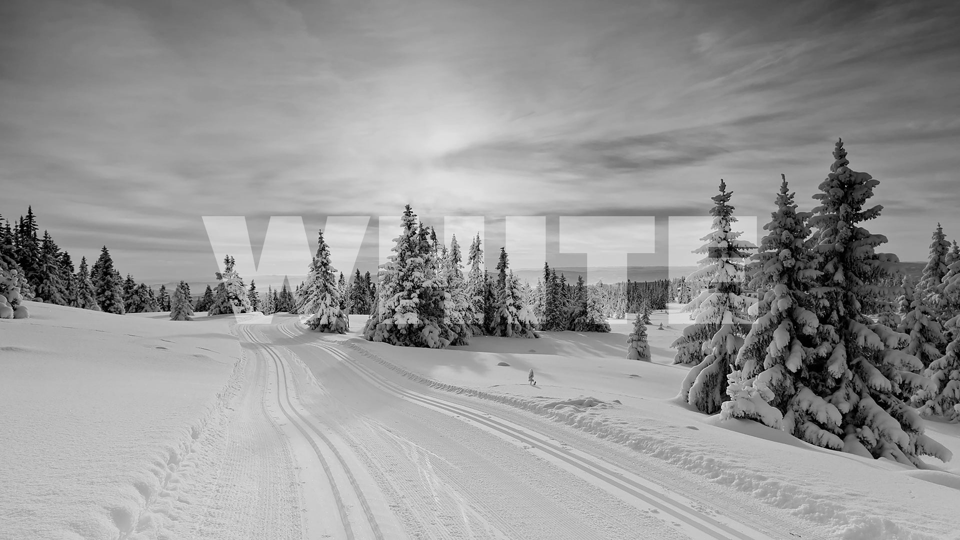 Introducing Next Generation Ski Wax Brand SNOOW®